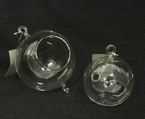 Hanging Glass Globe Vase Wholesale Flowers And Supplies