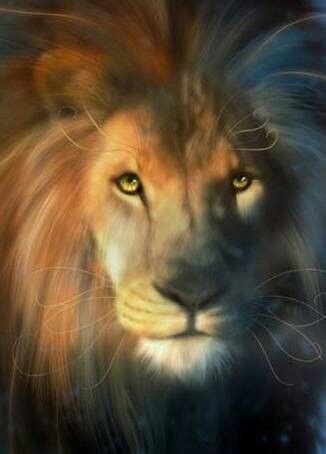 Pin by Maria Inês Mucci on Leao Lion wallpaper Lion Animals
