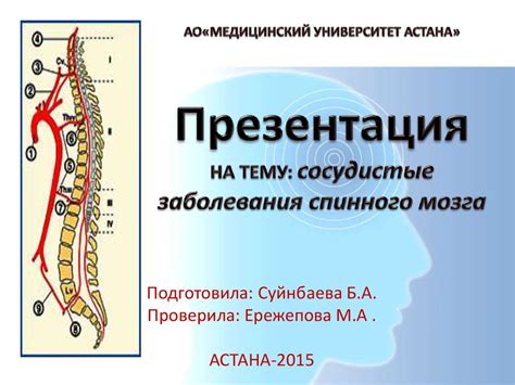 Сосудистые заболевания спинного мозга презентация онлайн