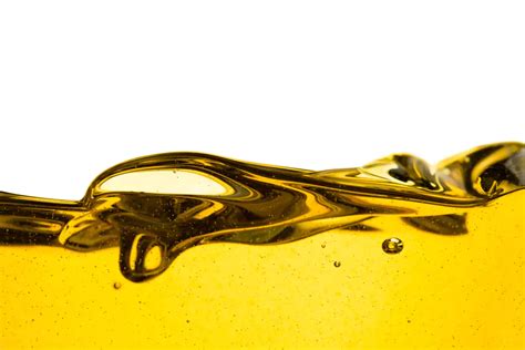 Can You Use Vegetable Oil As Lube Juicer Hunter