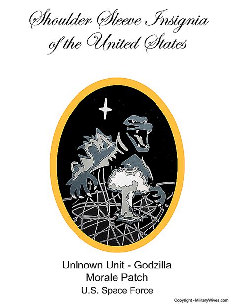 Ssi Of The United States Space Force