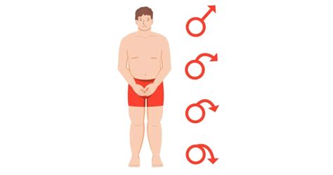 Best Ayurvedic Medicine For Premature Ejaculation