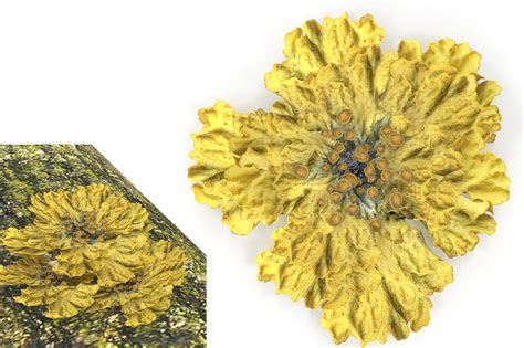 Modeling Masking Texture Image Help Blender Stack Exchange