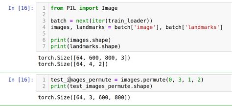 pytorch cuda alloc conf telegraph