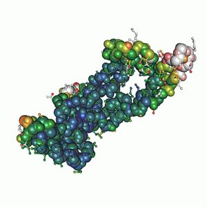 Recombinant SARS CoV 2 S2 Subunit Protein With C Terminal His Tag