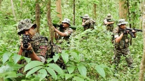 ভারতের ছত্তীসগড়ে মাওবাদী দমনে অভিযান পুলিশসহ নিহত ৫ আন্তর্জাতিক