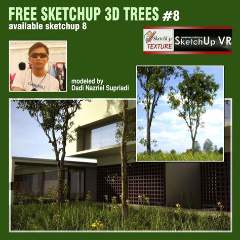 Free Vray Proxy Trees Lasopatek