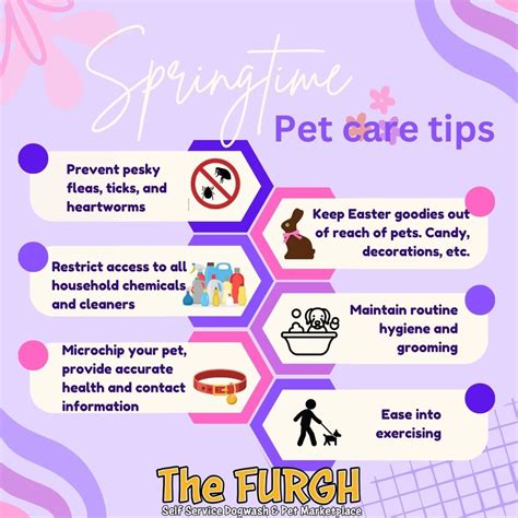 Spring Time Pet Safety Pittsburgh Pennsylvania