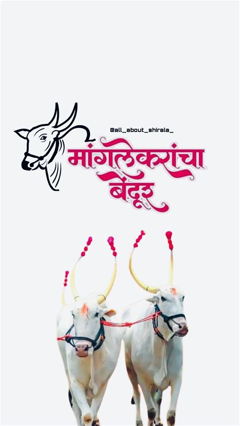 All About Shirala • Instagram Photos And Videos