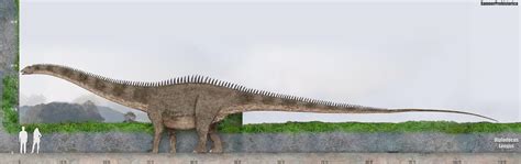 Diplodocus By Sameerprehistorica On Deviantart