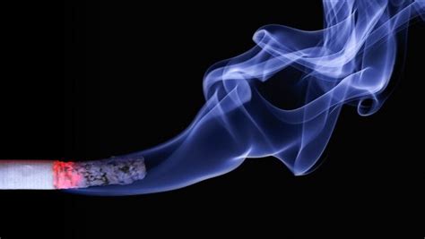 Tabaco mata cada año a más de ocho millones de personas OMS