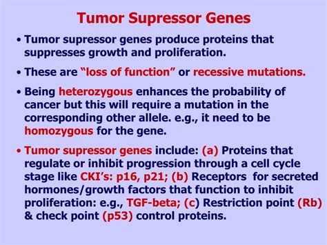 PPT Lectures 7 10 Cell Cycle Regulation And Cancer PowerPoint