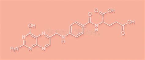 维生素b9叶酸分子 骨架公式 库存例证 插画 包括有 分子 蔬菜 谷氨酸 配方 怀孕 叶茂盛 186822004
