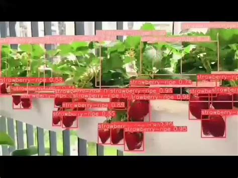 Aimer Society On Object Detection In Ai Pawan Sai Kodali Posted On