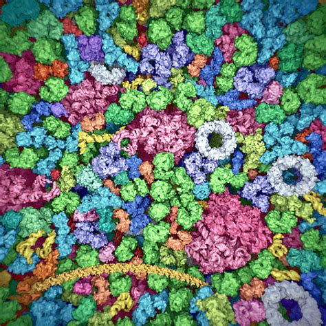workshop on modeling biomolecular systems in cellular environments