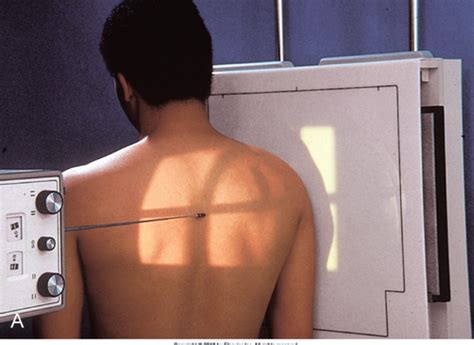 Shoulder Scapular Y Flashcards Quizlet