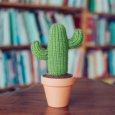 Classic Knitted Cactus Cactus Knit Cactus Crochet Cactus Etsy