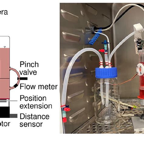 Structure Of The Enhanced Bioreactor Adjusted From Ref 11 A