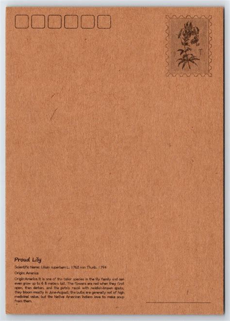 Postcard Proud Lily The Bible Of Lilies Pierre Joseph Redoute