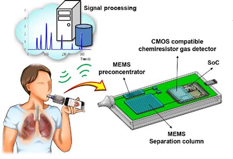 Gas Chromatography Volatile Organic Analysis At William Jaramillo Blog