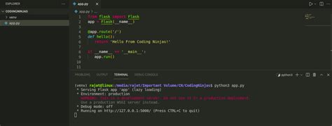 Flask Environment And First Application Naukri Code