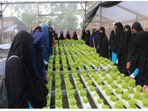 Kegiatan Ppit Imam Syafii