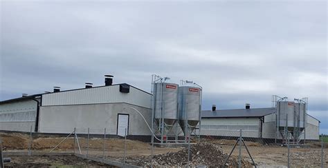 Свинокомплекс для відгодівлі свиней на 1400 голів Polnet