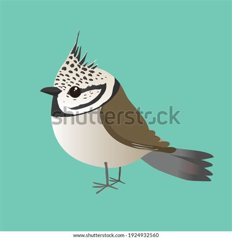European Beach Tits Over 2 Royalty Free Licensable Stock Illustrations