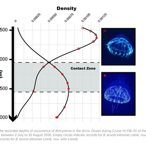 Heatmap Of Network Topology Parameters Comparing Epipelagic Download