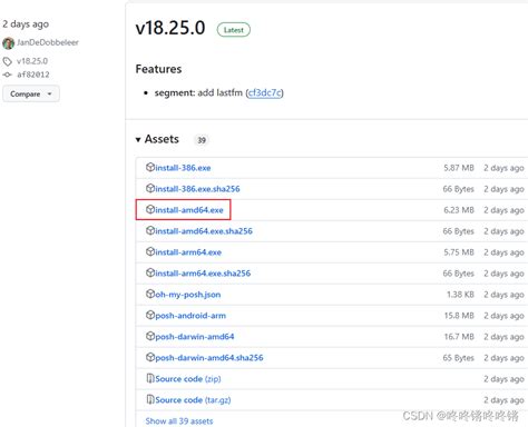 Windows 11系统cmd终端美化、vscode终端美化 Csdn博客