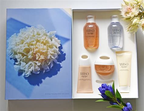 Review: Shiseido WASO Gesichtspflege | The Chic Advocate