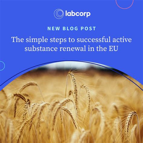 The Simple Steps To Successful Active Substance Renewal In The Eu Insights From Our Labs To