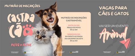 João Monlevade Castramóvel abre inscrições Só Notícias Online