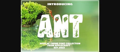 Ant Font Font Canyon
