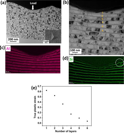 A Transmission Electron Microscopy Tem Bright Field Image Of The