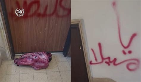 ראש כרות מחוץ לדלת תושב בת ים חשוד באיומים על איש עסקים בת ים נט