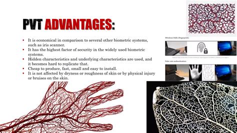 Palm Vein Technology Pptx Technology And Computing
