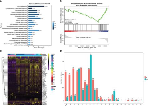 Scrna Seq Revealed Metabolic Differences In Aa Bar Chart Showing Top
