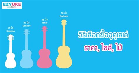 คอร์ดเพลง วาฬเกยตื้น อูคูเลเล่ ที่ตอบโจทย์การใช้งานจริง สำหรับมือใหม่