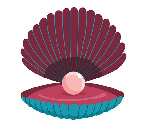 Premium Vector Pearl In Seashell Open Seashels Scallop And Pearl
