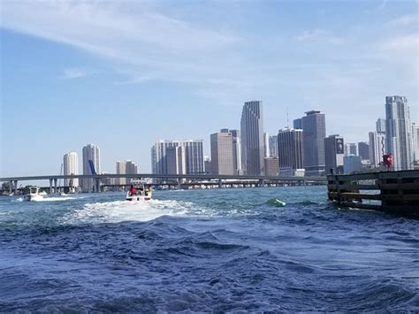 South Florida Boat Tours Miami Beach 2019 All You Need To Know