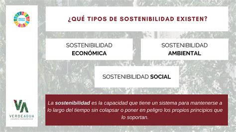 ¿cuáles Son Los 3 Tipos De Sostenibilidad Que Existen