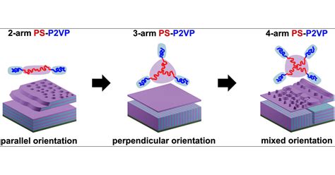 Architecture Dependent Thin Film Self Assembly Of Star Polystyrene Poly2 Vinylpyridine Block