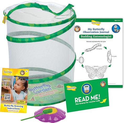 Butterfly Growing Kit Butterfly Habitat Kit With Voucher To Redeem 5