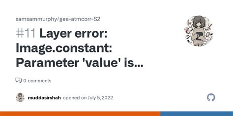 Layer Error Image Constant Parameter Value Is Required Issue