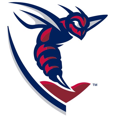 Shenandoah University Hornets Color Codes Hex Rgb And Logo