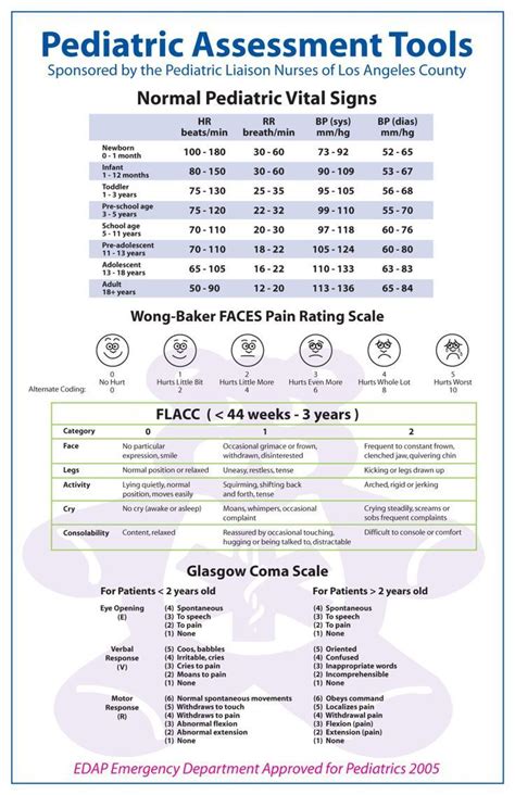 Pediatric Coding Cheat Sheet 2025 Tahlia Massey