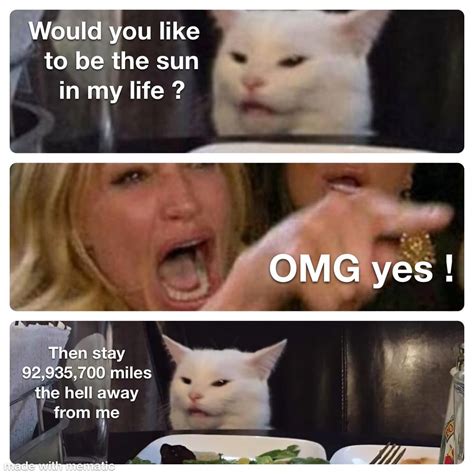 Lady Yelling At Cat Meme Birthday Captions Quotes