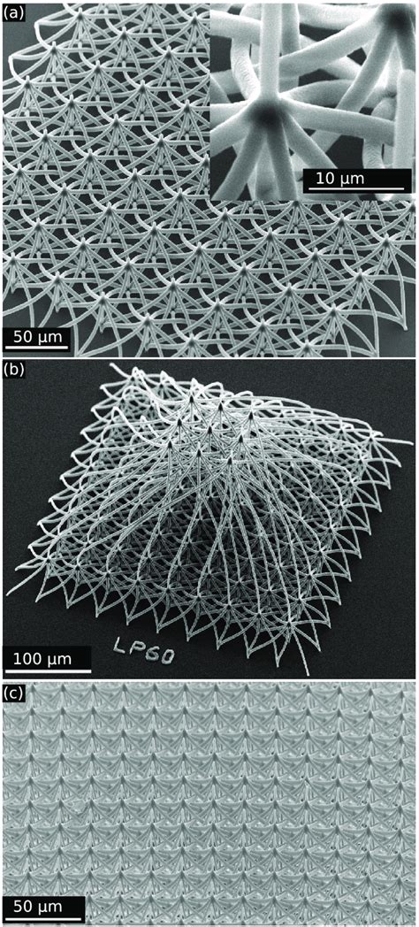 a sem micrograph 15 kv 40 of an array of 1 × 9 couplers hosting