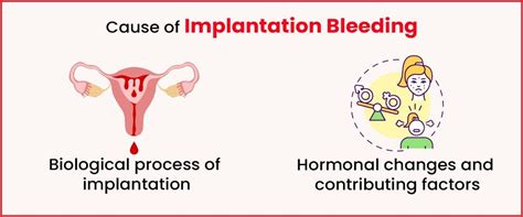Implantation Bleeding Causes Symptoms And Treatment